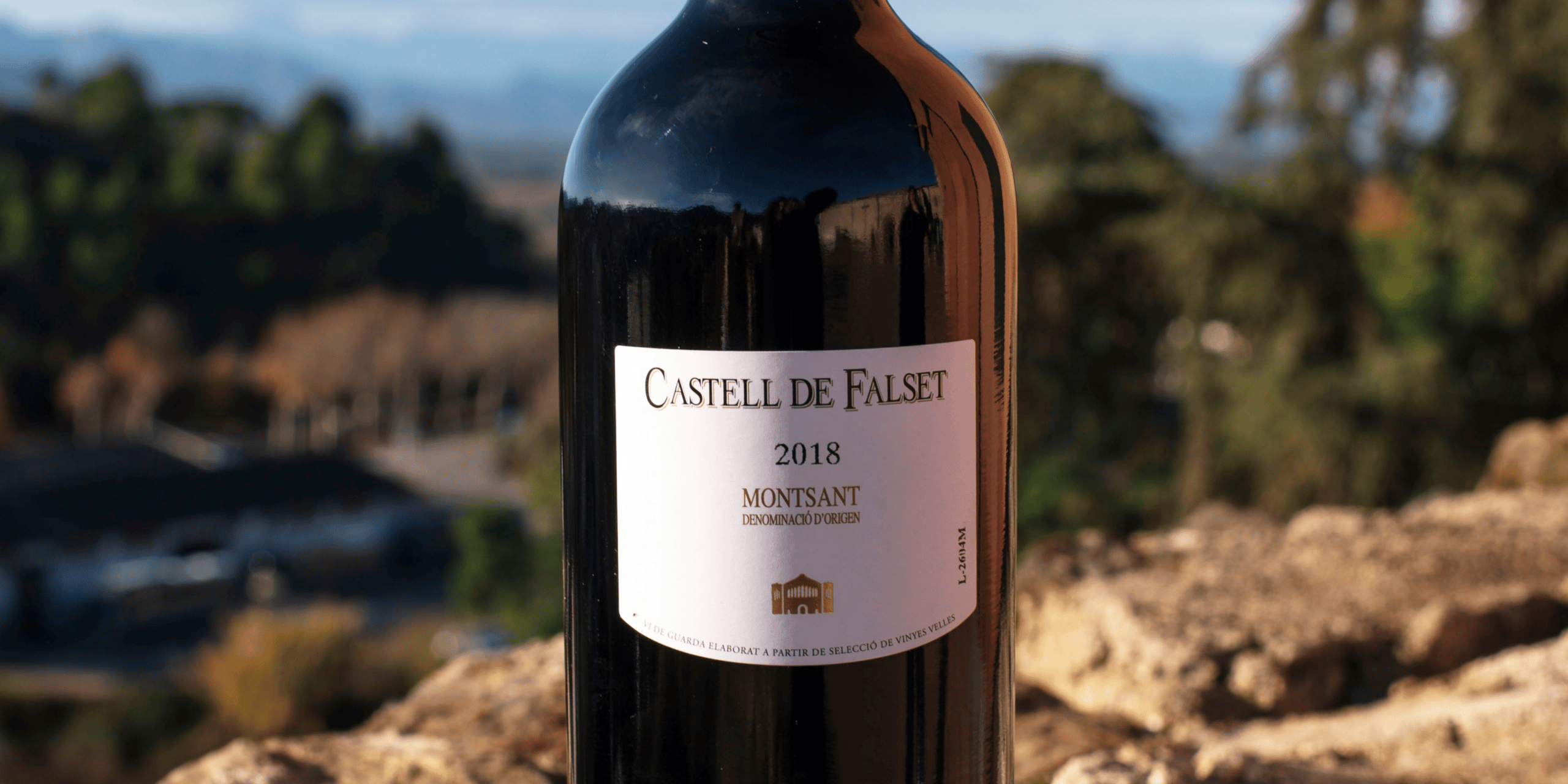 Castell de Falset - ÈTIM